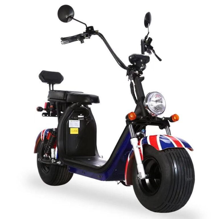 RS01 (EEC) city coco electric harley scooter with removing battery