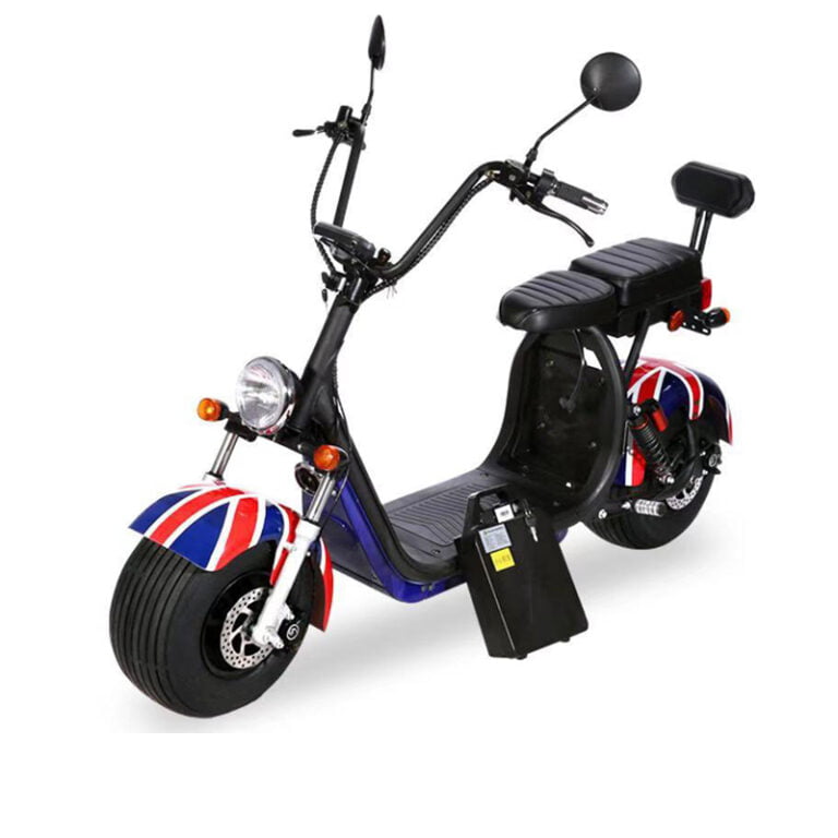 RS01 (EEC) city coco electric harley scooter with removing battery